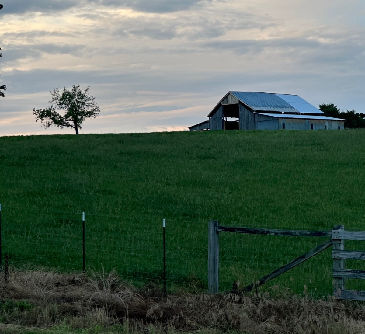 Wordless Wednesday, Country Scenes – Southern Patches